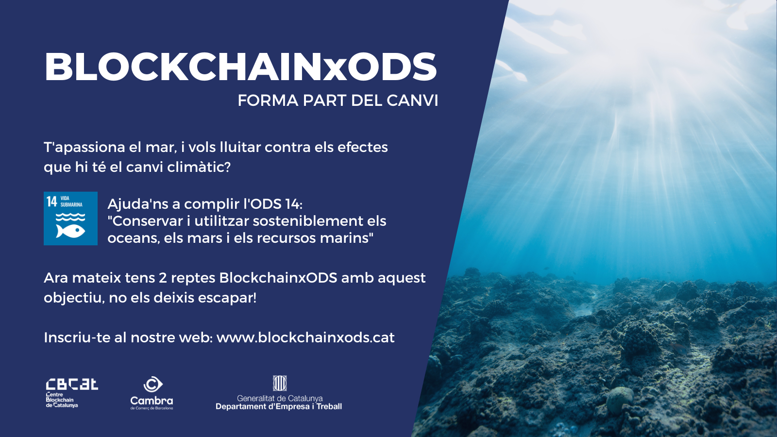 Tecnología blockchain para un mar sostenible - Tech Barcelona